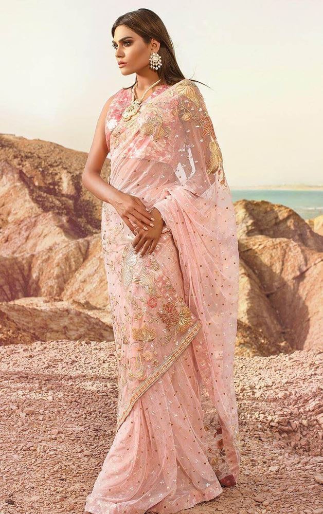 Palace rose sari